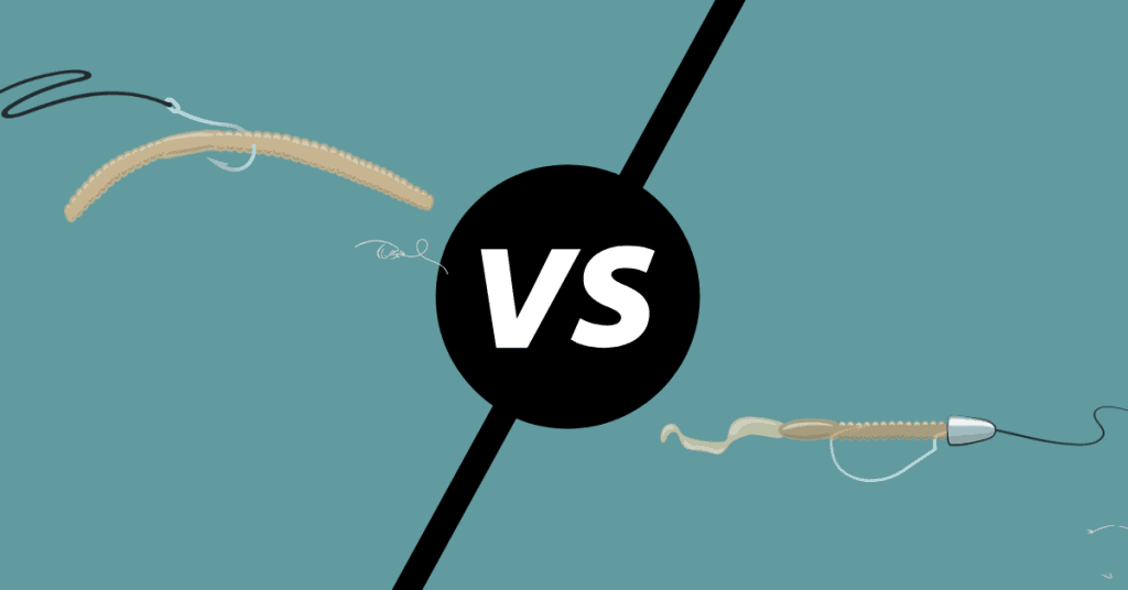 Wacky Rig Vs Texas Rig: Bass Rigs Compared