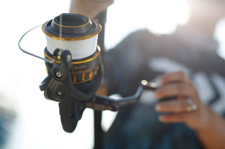 How Much Line to Put on a Spinning Reel: Expert Guide