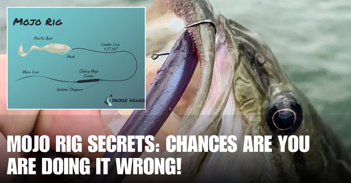The Mojo Rig: The Secret Finesse Carolina Rig (+ pictures)