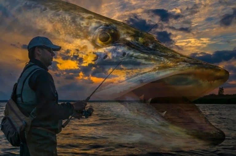 Night fishing for Muskie: Tips to Catch Big Fish