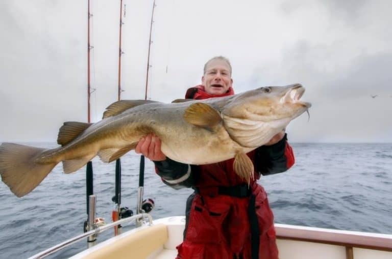 Bottom Feeders List (+pictures): Salt and Freshwater Fish