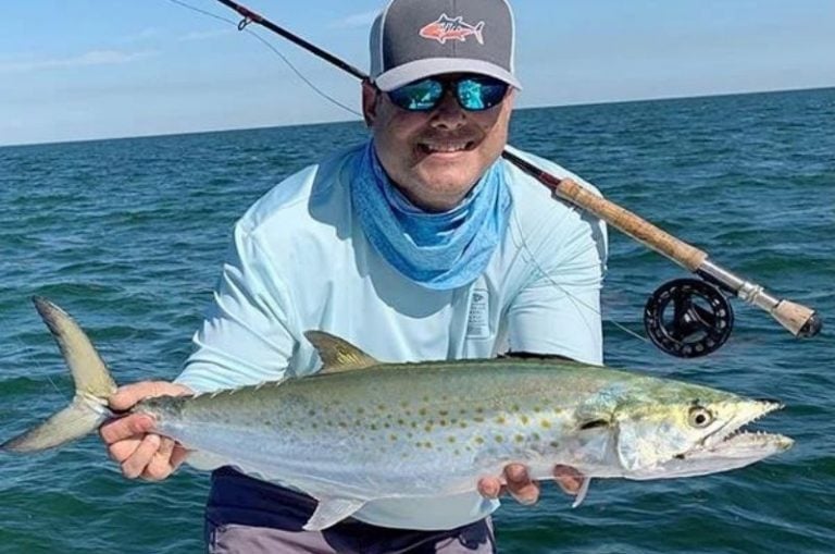 World Record Spanish Mackerel: Biggest Ever Caught