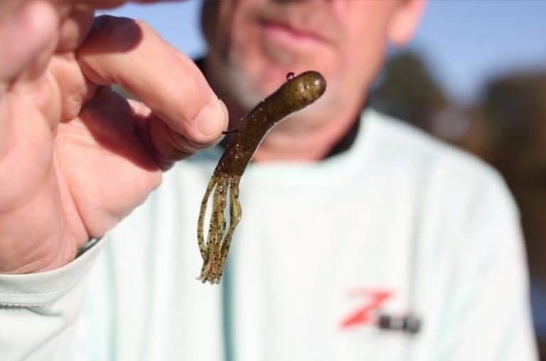 Types of Soft Plastic Baits: Grubs, Worms, Craws and More – Tackle Village