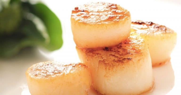 What do Scallops Taste Like? Plus Great Flavor Pairings