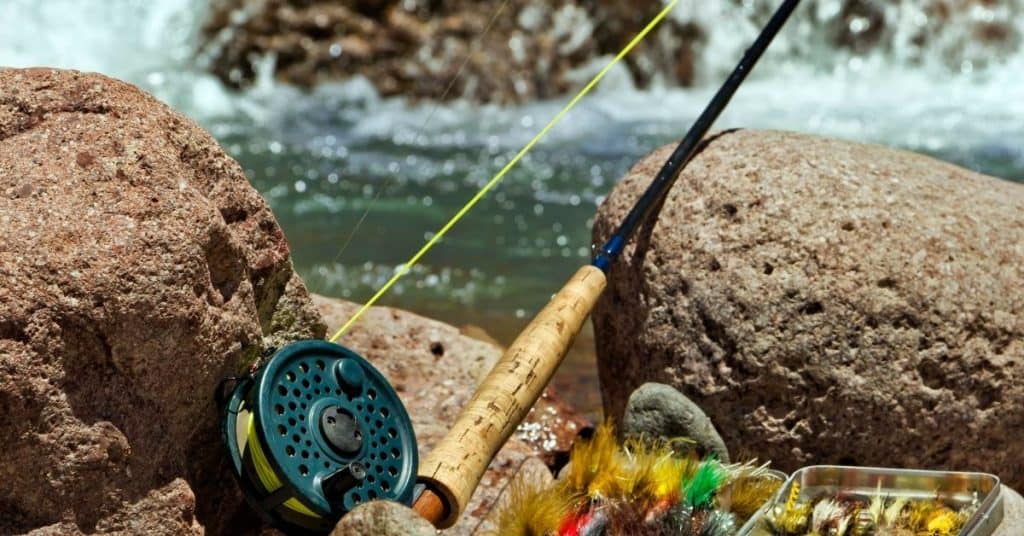 When is Fly Fishing Season? Advice and Tactics