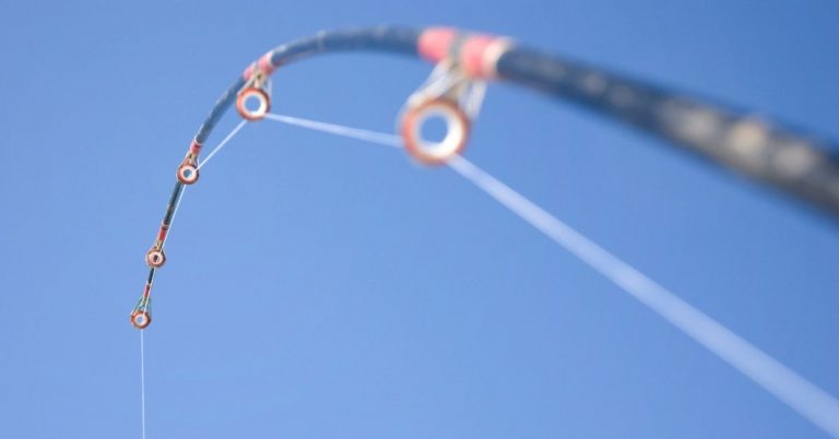 Parts of a Fishing Rod: Each Bit Explained