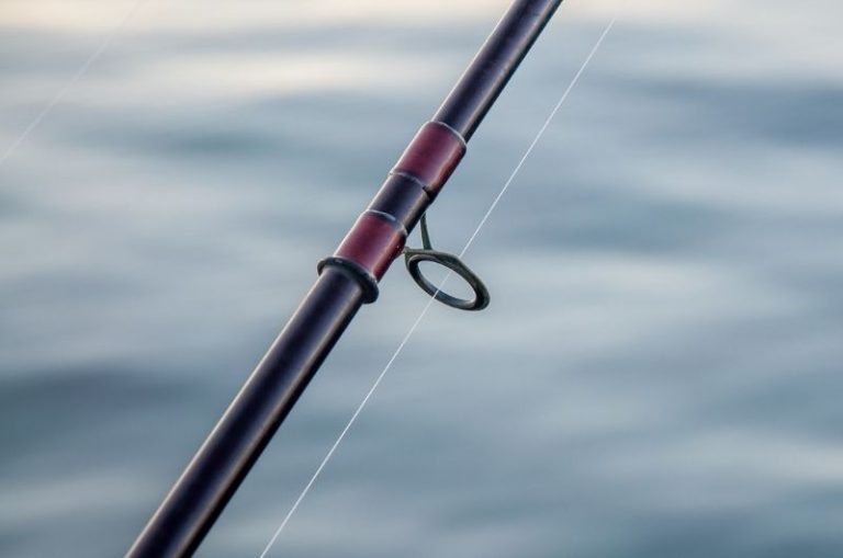 Parts of a Fishing Rod: Tip, Butt, Grips and Guides Explained