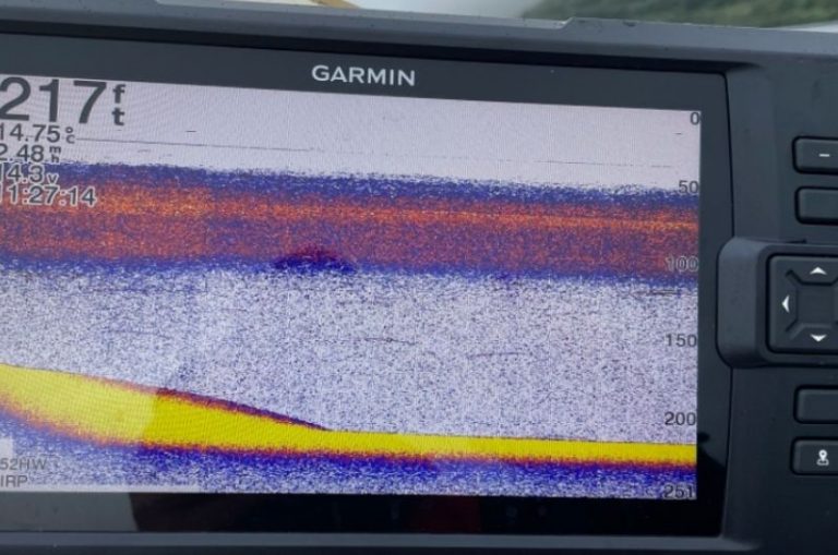 Best Garmin Fish Finder: Top Models Reviewed
