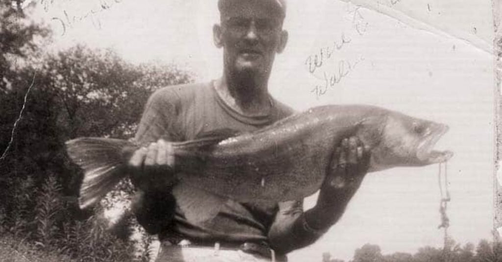 The World Record Walleye: Hickory Lake Fish Reinstated