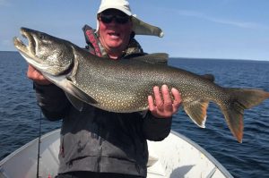 Splake vs Lake Trout: Key Differences Explained