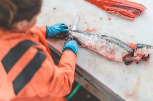 How to Skin a Fish: Step by Step Instructions