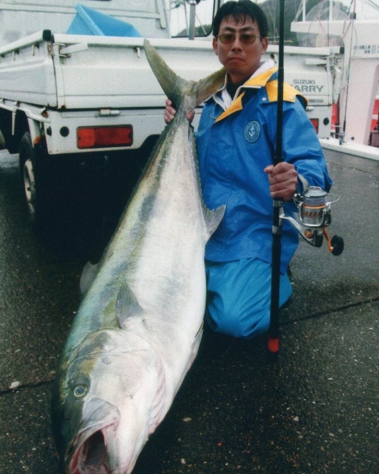 World Record Yellowtail: A 109lb Monster