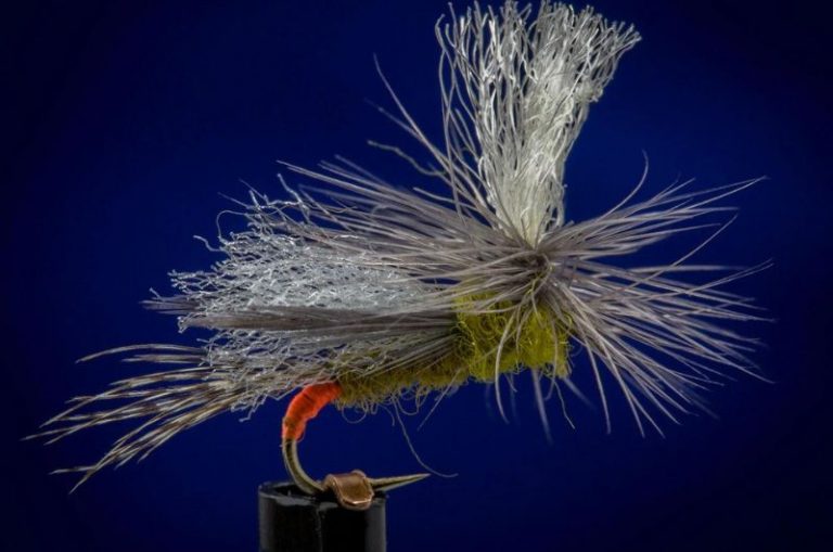 What Are Parachute Flies? Plus Our Six Favorite Patterns