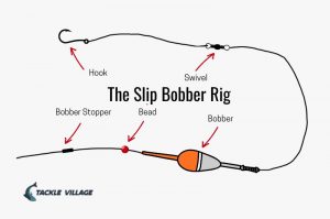 The Best Perch Rigs: 7 Great Set-Ups to Boost Your Catch
