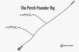 The Best Perch Rigs: 7 Great Set-Ups to Boost Your Catch