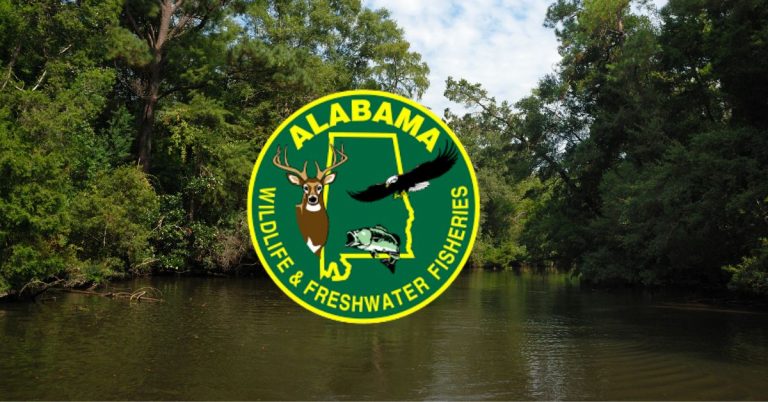 Alabama Fishing: Tips, Species and Where to Go