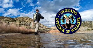 Colorado Fishing License (2026): Cost, Who Needs One & How to Buy