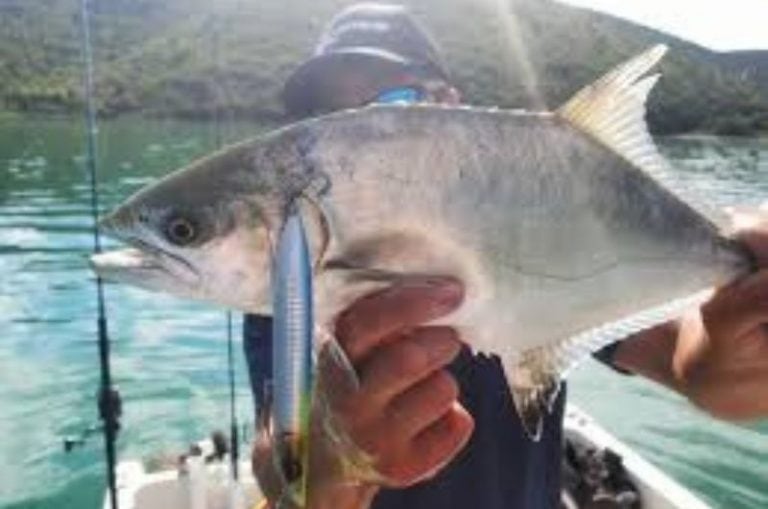 What Does it Mean to Foul Hook a Fish?