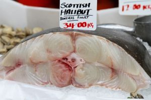 Current IGFA World Record Halibut 2025: Largest Ever (with pic)