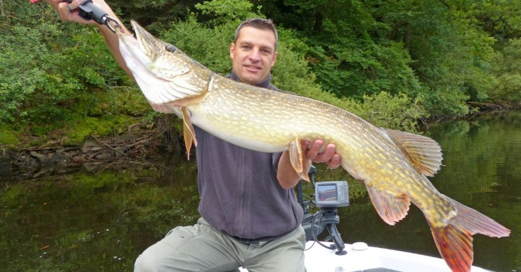 Pike Fishing Gear List: Essential Items for Success