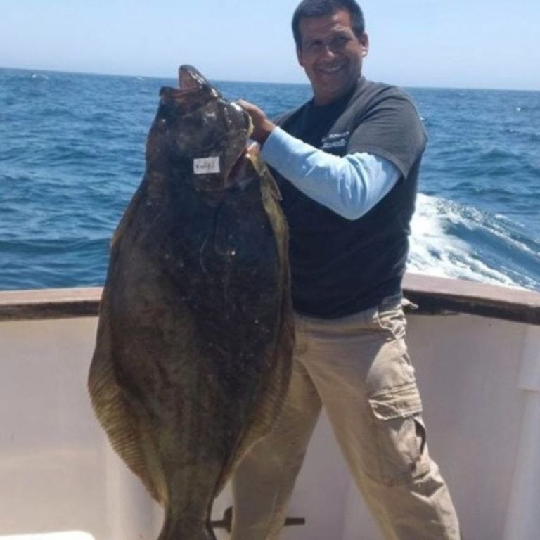 World Record Flounder: IGFA Weights for All Species