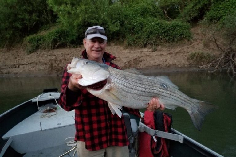 How to Catch Striped Bass: Tips for Striper Success