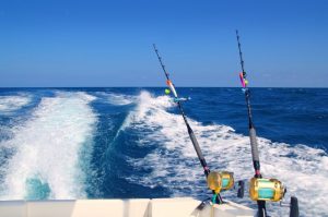 Florida Fishing License (2025): Cost, Types & How to Buy