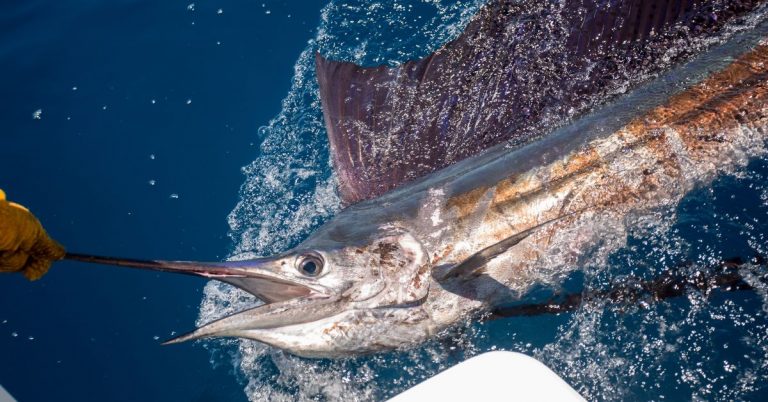 Hardest Fighting Saltwater Fish: Top 15 List