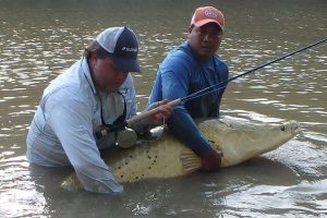 World Record Arapaima: The Biggest Ever Caught