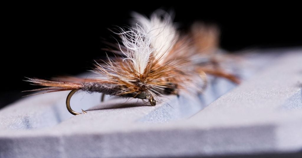 Best Flies for Brown Trout: 21 Top Wet and Dry Patterns