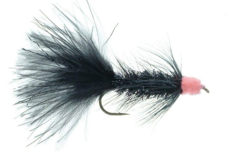 Best Flies for Brown Trout: 21 Top Wet and Dry Patterns