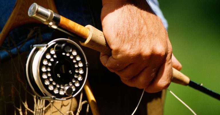 Understanding Fly Line Tapers: A Complete Expert Guide