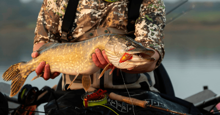 Fly Fishing for Pike 101: Tips, Techniques and Tactics