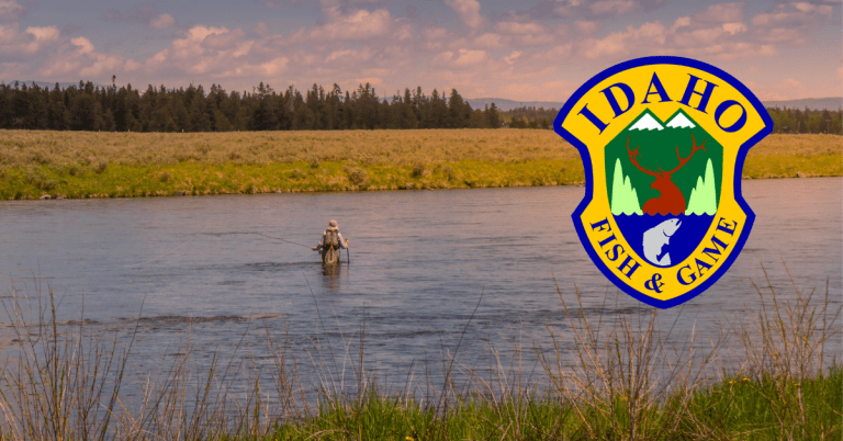 Idaho Fishing License (2026): Cost, Types and How to Buy