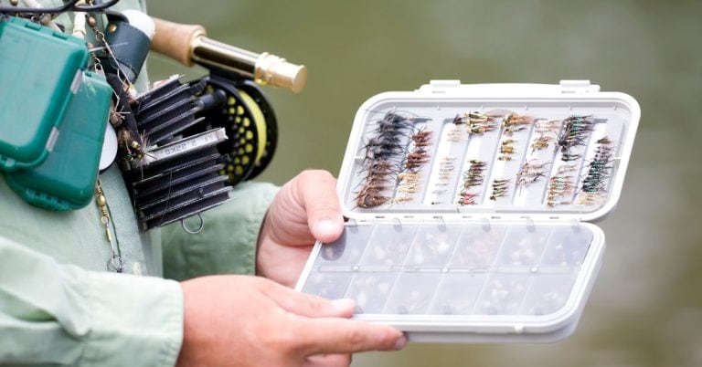 What Does Matching The Hatch Mean in Fly Fishing? – Tackle Village