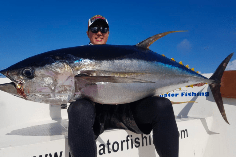 Hawaii Fishing License (2025): Cost, Types & How to Buy