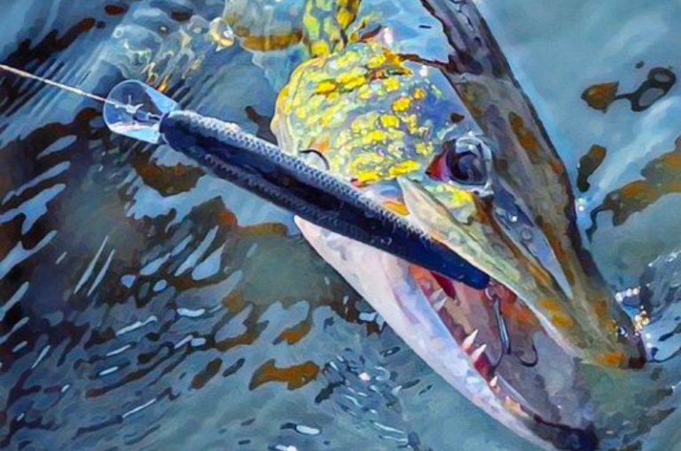 When Do Chain Pickerel Spawn and How to Catch Them