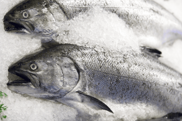 How Long Can You Keep Fish on Ice?