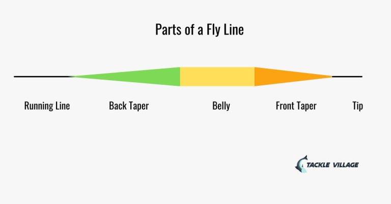 Understanding Fly Line Tapers: A Complete Expert Guide
