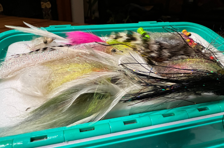 The Best Saltwater Fly Boxes: Our Expert’s 10 Top Picks for 2025