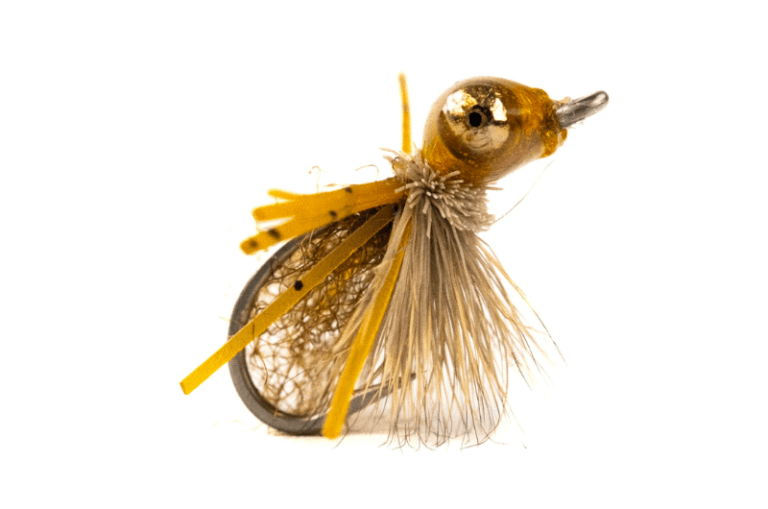 Fly Fishing For Carp: Tackling ‘Urban Bonefish’ With the Long Wand