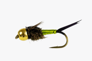 The Best Flies for Cutthroat Trout: 20 Top Wet and Dry Patterns
