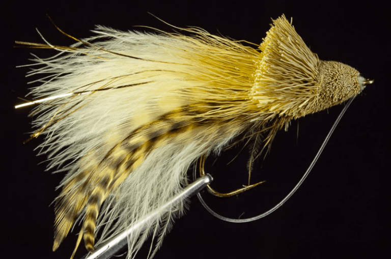 The 24 Best Flies for Largemouth Bass: Poppers, Bugs & Streamers