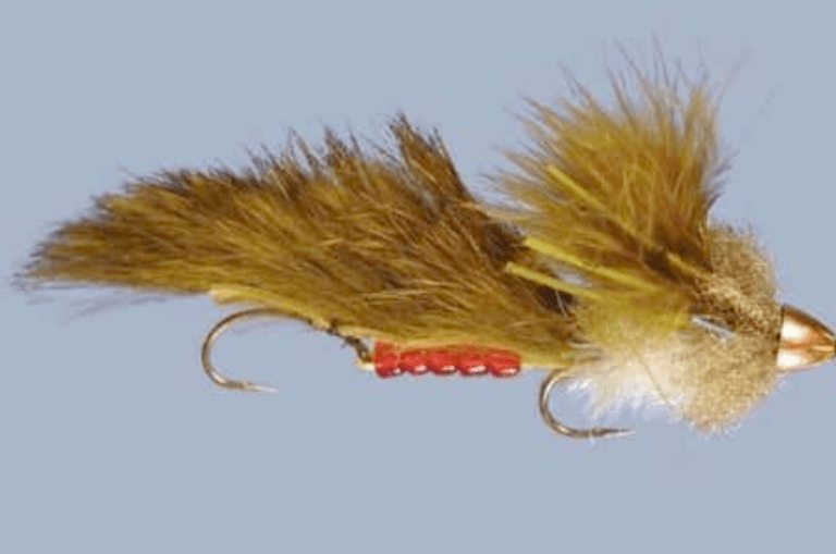 The 24 Best Flies for Largemouth Bass: Poppers, Bugs & Streamers