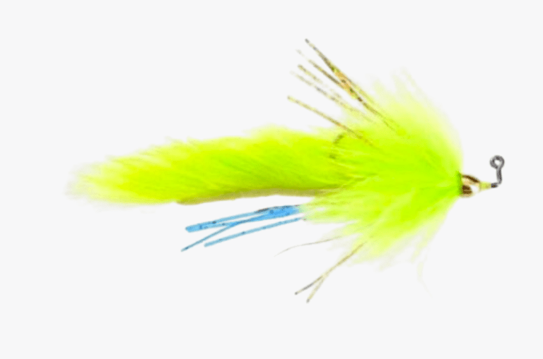 The 24 Best Flies for Largemouth Bass: Poppers, Bugs & Streamers