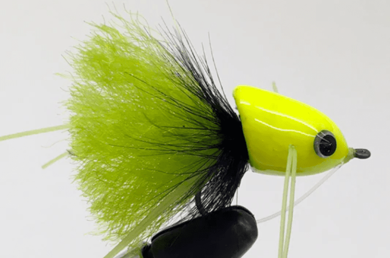 The 24 Best Flies for Largemouth Bass: Poppers, Bugs & Streamers