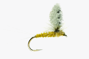 The Best Flies for Cutthroat Trout: 20 Top Wet and Dry Patterns