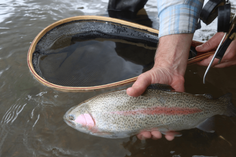 What Is a Trout Grand Slam? Official Rules Explained