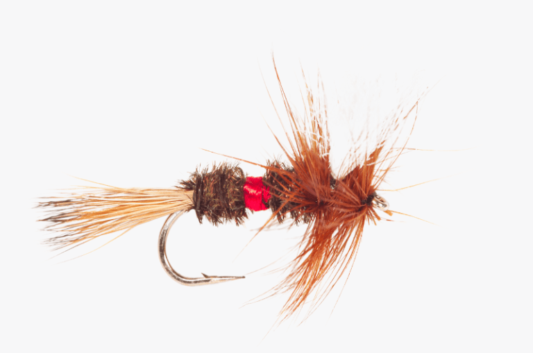 The Best Flies for Cutthroat Trout: 20 Top Wet and Dry Patterns