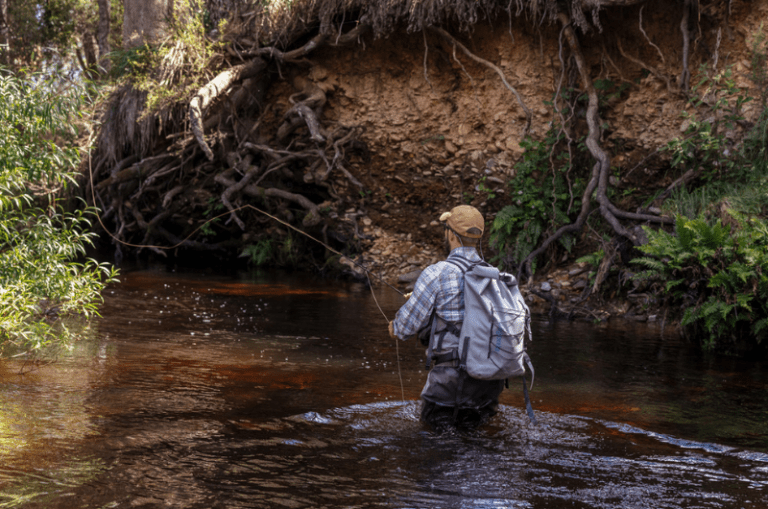 The 8 Best 3 Weight Fly Rods 2025: Small Stream Sticks Reviewed
